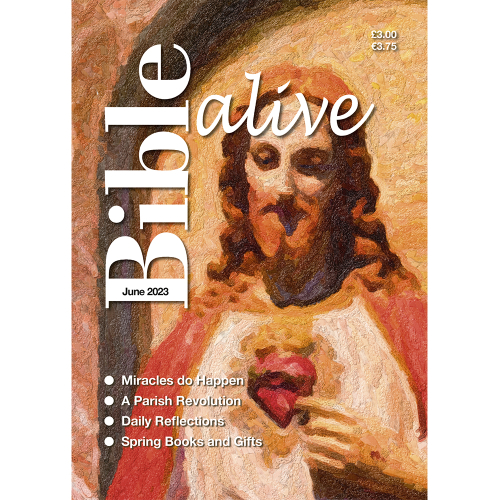 Alive Publishing shop